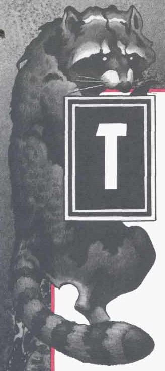 Wereraccoon - 2d4chan