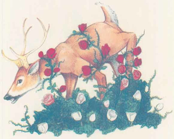 Vampire Rose - 2d4chan