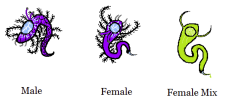 Cave Evolution Game - 2d4chan