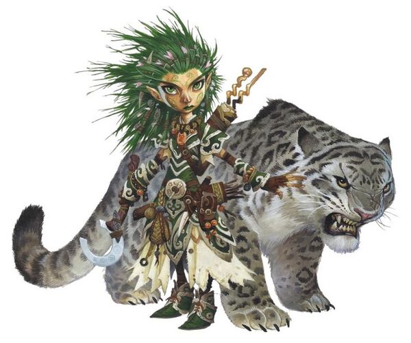 Druid - 2d4chan