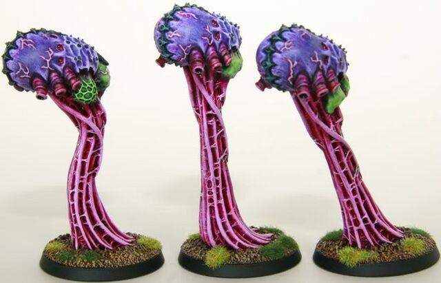 Meiotic Spore - 2d4chan