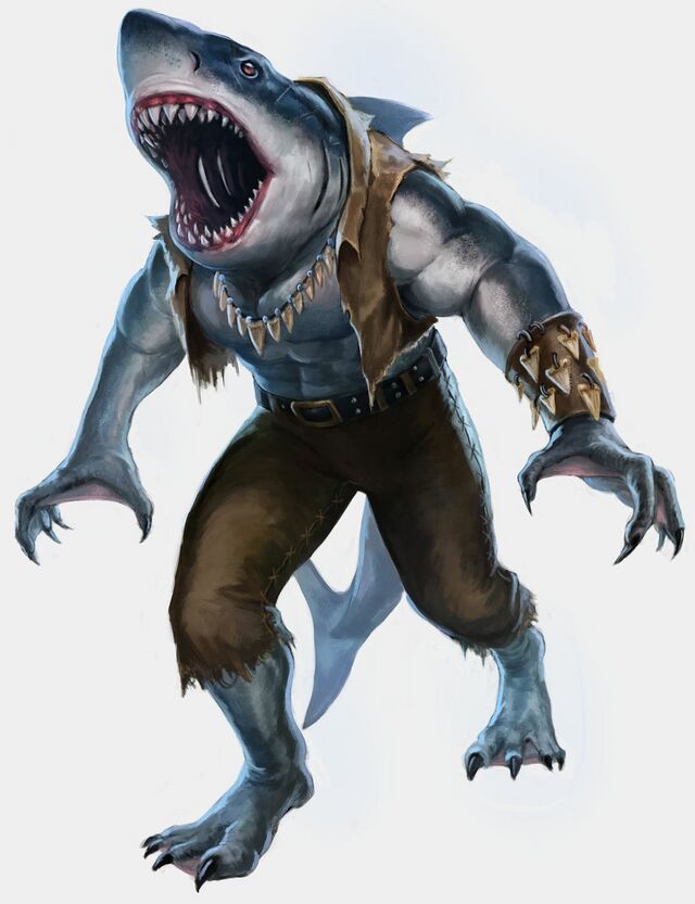 Wereshark - 2d4chan