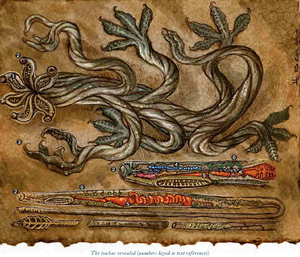 Tsochar - 2d4chan.org